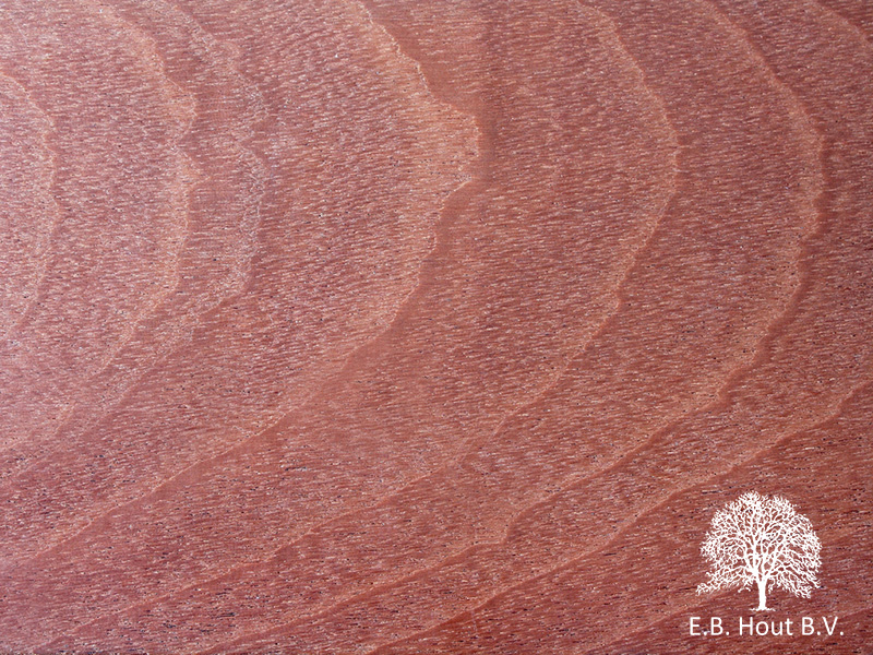 wat is Sapeli Mahonie - EB HOUT